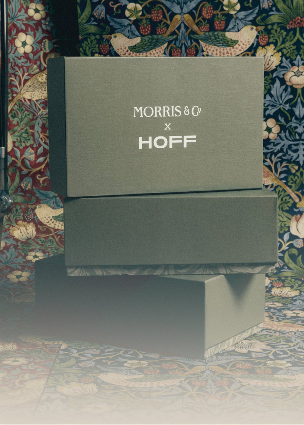 Sneakers for women BRIDGE MORRIS CHERRY by HOFF